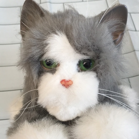 Toys | Fr Cat Stuffed Animal Gray | Poshmark